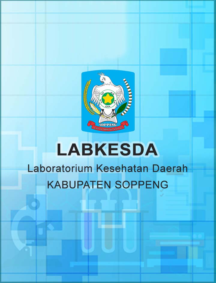 Labkesda Kabupaten Soppeng